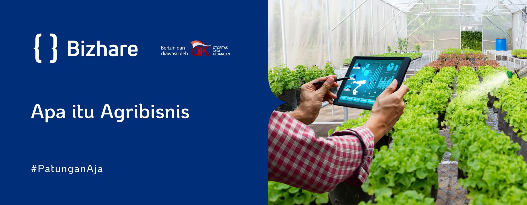 Apa itu Agribisnis: Panduan Lengkap untuk Pemula